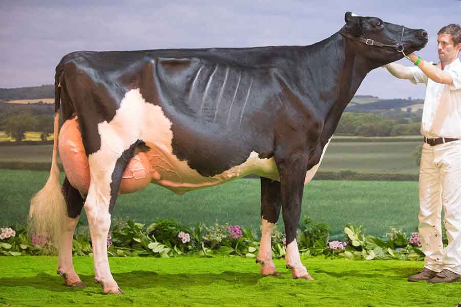 Show winners at UK Dairy Day - Farmers Weekly