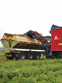 Box loader gives carrots tender loving care - Farmers Weekly