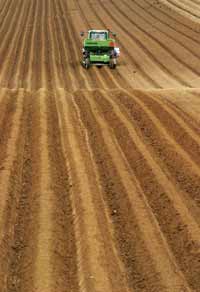 Improvements will make PCN model site-specific - Farmers Weekly