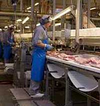 Meat sector workers 'widely exploited' - Farmers Weekly