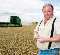 Barometer farmers: Wheat yield no disaster given the weather - Farmers ...