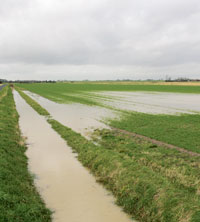 Reduce run-off with simple drainage options - Farmers Weekly