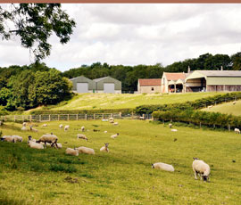 Trio of English estates on the market - Farmers Weekly
