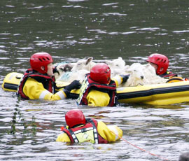 Farmers rescued saving sheep from flooding - Farmers Weekly