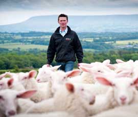 2011 FW Awards winner: Sheep Farmer - Farmers Weekly