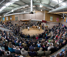 New breed record smashed at Perth Bull Sales - Farmers Weekly