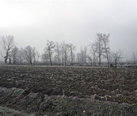 Crop Watch: Cold weather welcomed by agronomists - Farmers Weekly