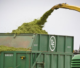NFU Fodder Bank relaunched after 'wettest summer' - Farmers Weekly