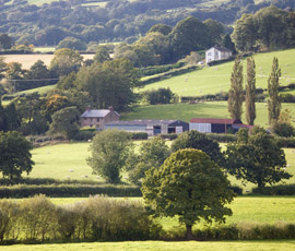 Farm incomes rise 15% in Wales - Farmers Weekly