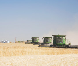 Win a trip to Canada to talk food security - Farmers Weekly