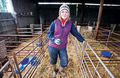 FARMER FOCUS: TB result gives green light for sale - Farmers Weekly