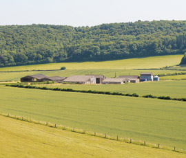 Larger farms offer choice for buyers - Farmers Weekly