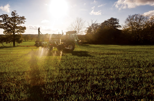 New smart fertiliser boosts yields on light land - Farmers Weekly