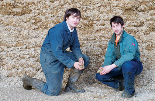 FARMER FOCUS: Maize yield is disappointing - Farmers Weekly