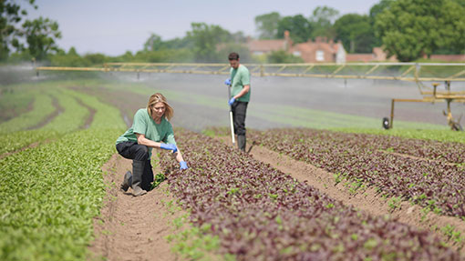 Flexible working opens to all farm employees - Farmers Weekly