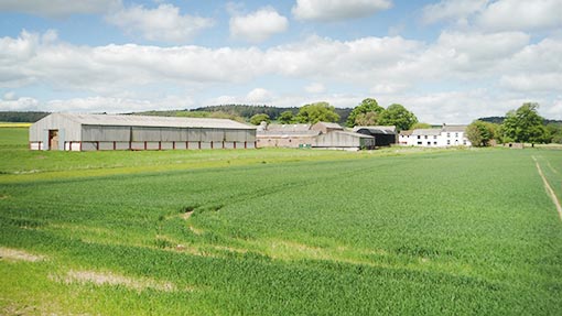 Good-size arable blocks to test rental market - Farmers Weekly