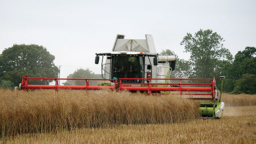 Harvest moves up a gear as combines roll - Farmers Weekly