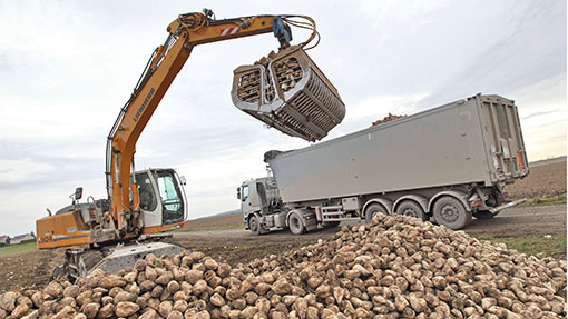 Sugar firm predicts bumper harvest for beet farmers - Farmers Weekly
