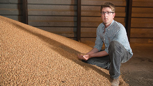 Farmer Focus: Local grain traders get a makeover - Farmers Weekly
