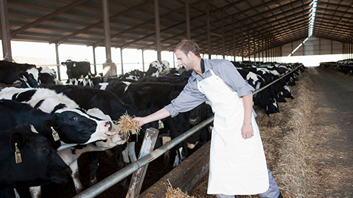 Charity offers £600,000 for young farmer projects - Farmers Weekly