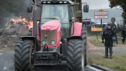 France pledges aid for struggling vegetable growers - Farmers Weekly