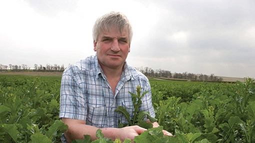 Farmer Focus: Battle to save rapeseed from flea beetles - Farmers Weekly