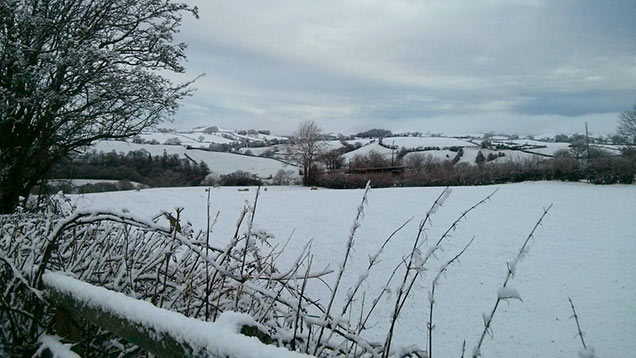 Wintry blast of ice and snow batters farms - Farmers Weekly