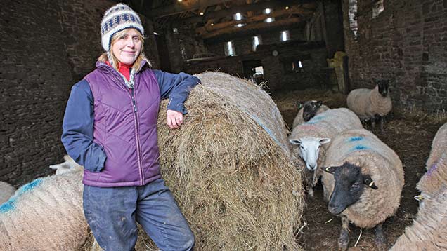 Farmer Focus: Livestock showing is educational - Farmers Weekly