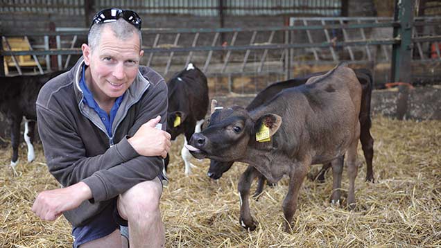 A Welsh farm's approach to Johne's disease control - Farmers Weekly