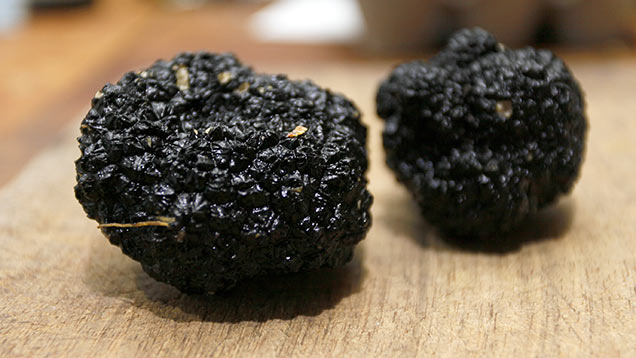British truffle breakthrough on Leicestershire farmland - Farmers Weekly