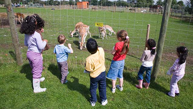 Tomorrow's farmers set to learn about food and countryside - Farmers Weekly