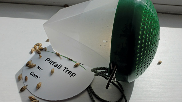 Kit to keep mites, moths and weevils out of the grain store - Farmers ...