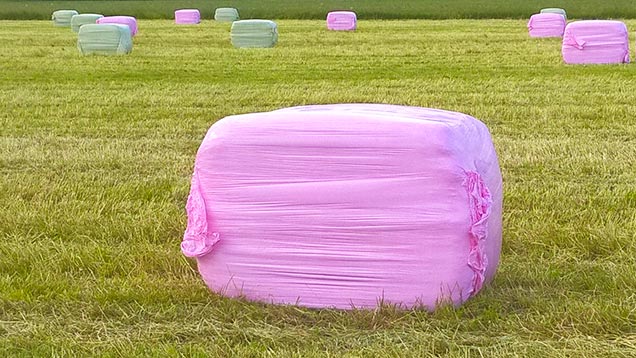 Your photos: pink bale fever spreads - Farmers Weekly