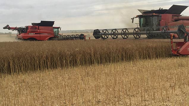 Harvest 2015: Rain halts combines as first wheat is cut - Farmers Weekly