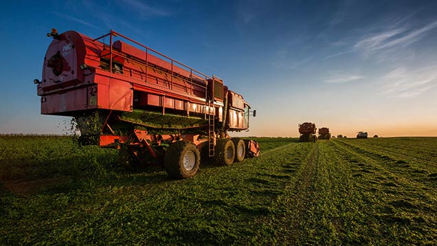 Photos: The great British vining pea harvest - Farmers Weekly