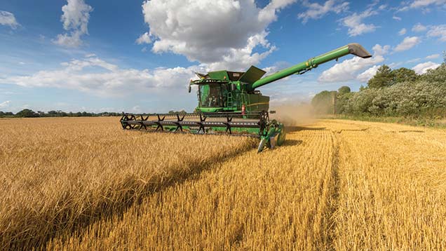 Tips to maximise winter barley yields - Farmers Weekly