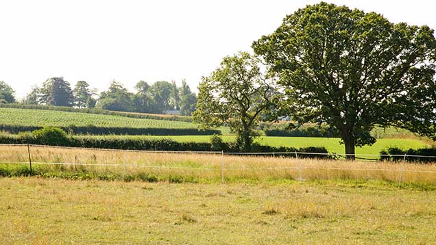 11 farmland blocks for sale this week - Farmers Weekly