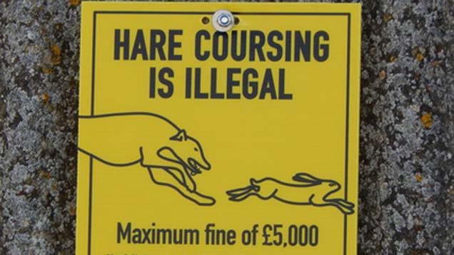 Hare coursing warning signs available - Farmers Weekly