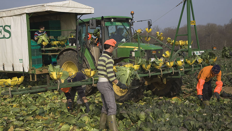 Fruit And Veg Growers Uk at Taj Mccrone blog