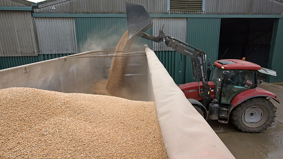 Wellgrain collapse - what farmers need to know and do - Farmers Weekly