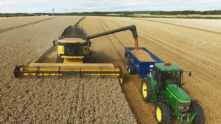 Wheat Grower S Yield Makes It Into Guinness World Records Farmers Weekly