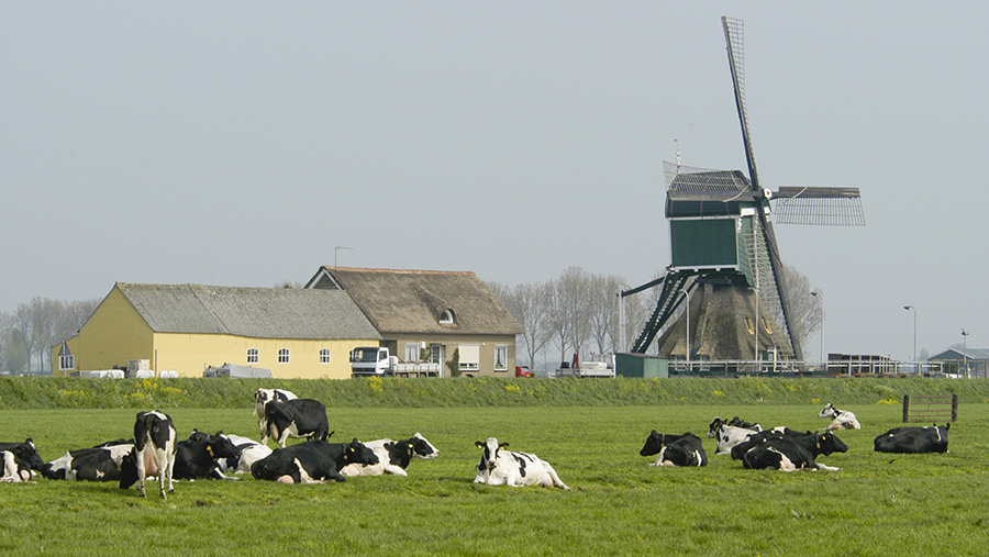 Dutch co-op pays farmers to limit milk production - Farmers Weekly