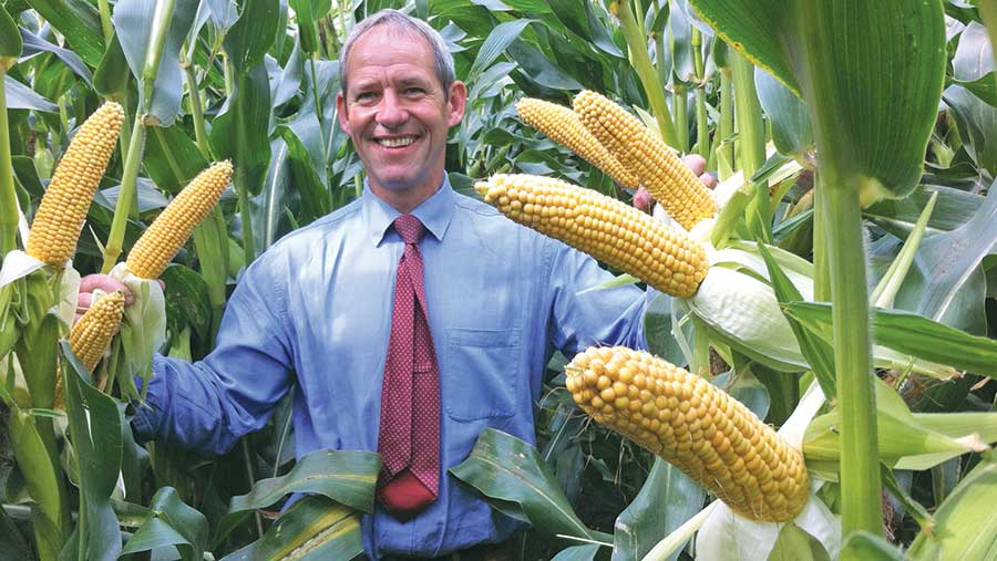 Step by step Guide To Planting Maize Farmers Weekly