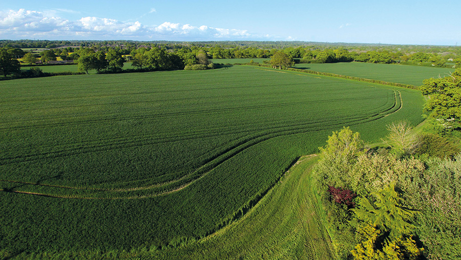 Farmland blocks worth £45m add heat to the spring market - Farmers Weekly