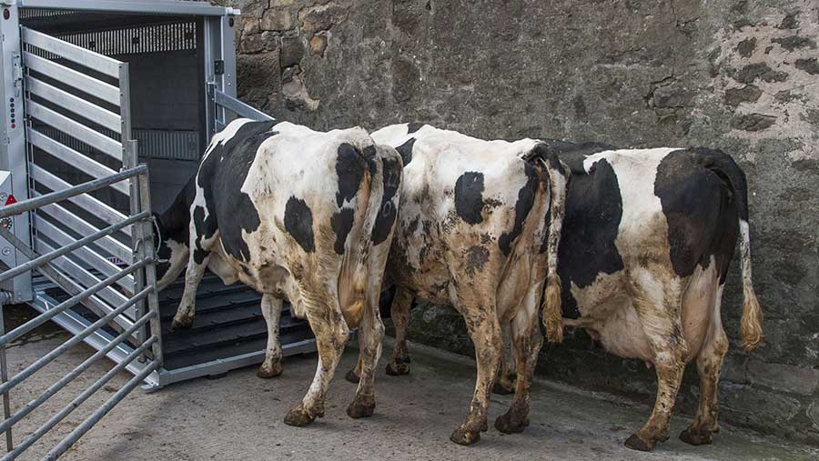 Defra Reveals New 10 mile Livestock Movement Rules Farmers Weekly Defra Reveals New 10 mile Livestock Movement Rules Farmers Weekly
