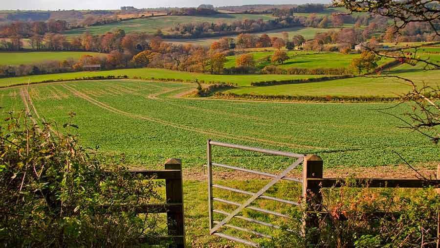 4 things farmers should know about compulsory purchase - Farmers Weekly