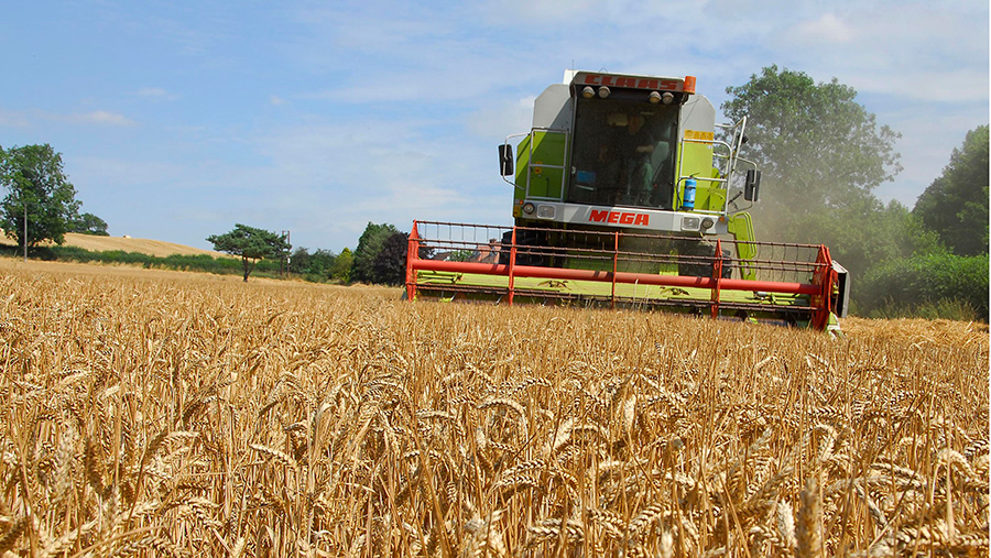 5 ways to find good staff at harvest - Farmers Weekly