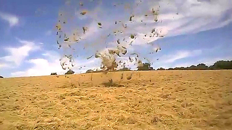 Farmer captures rare footage of dust devil - Farmers Weekly