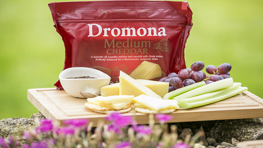 Dale Farm unveils new £7m cheese factory - Farmers Weekly