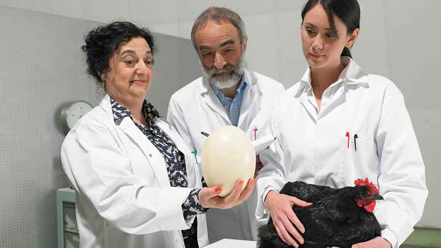 Latest advances in science for poultry farmers - Farmers Weekly